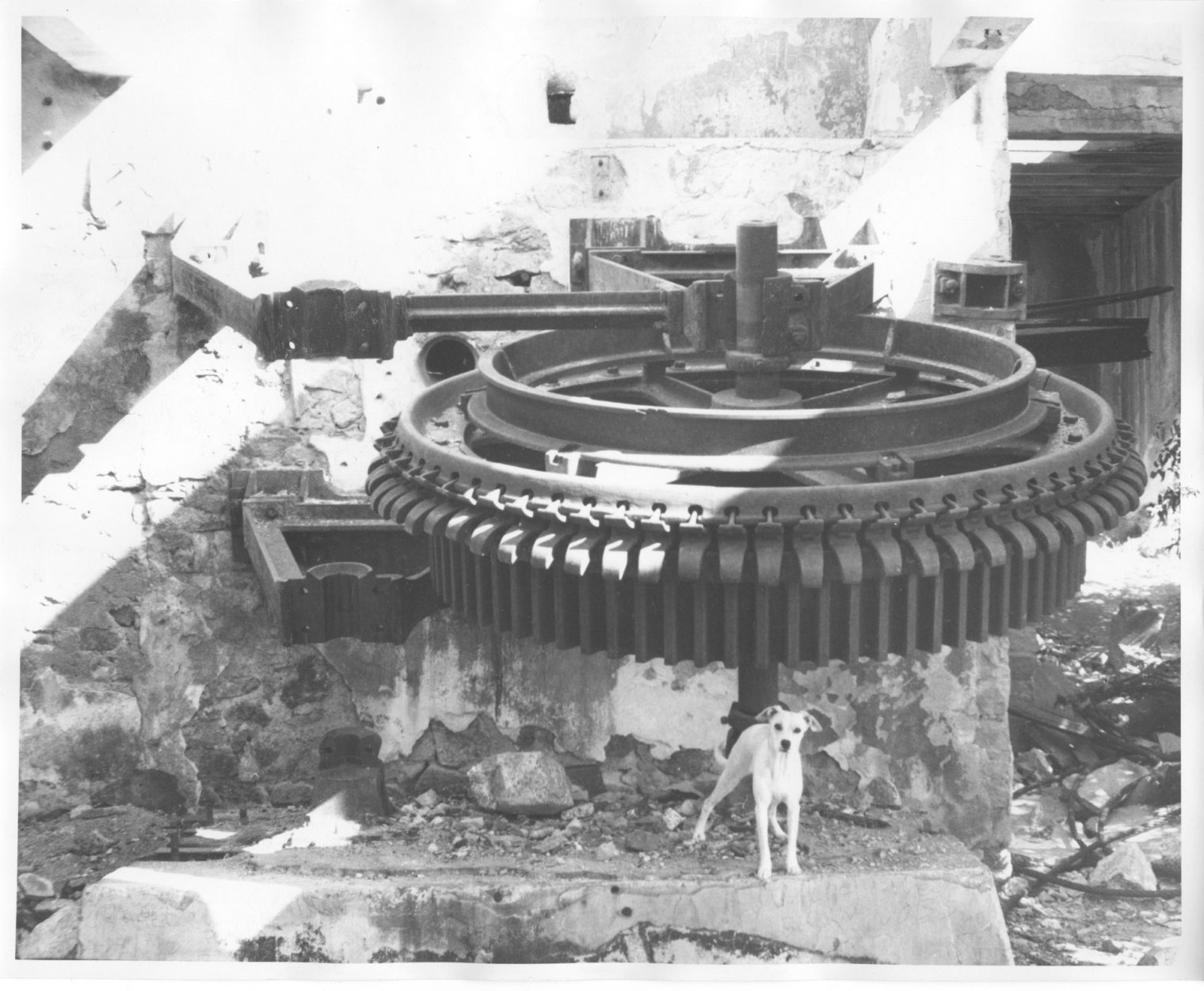 Mount Lowe Today – A digital history of Mount Lowe